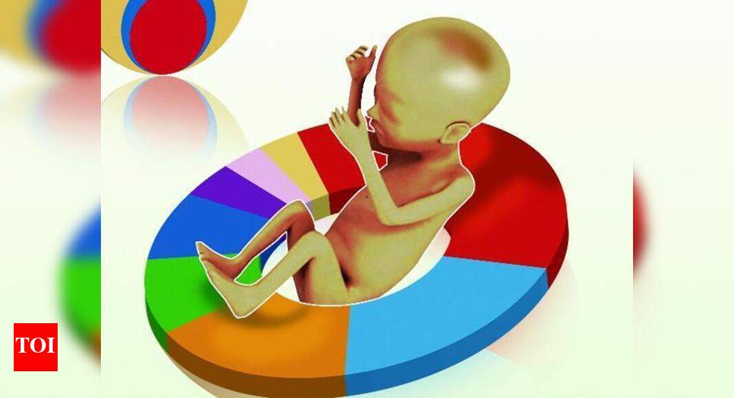 IMR, MMR cheer in 177 Assam gardens | Guwahati News - Times of India