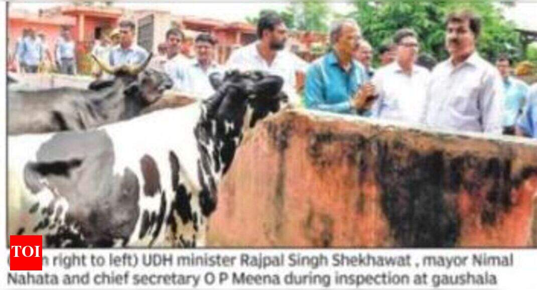 After deaths rock Raj, ministers flock to Hingonia | Jaipur News ...