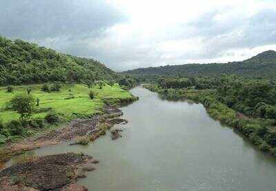 Govt to initiate legal recourse in Mahadayi river-sharing crisis ...
