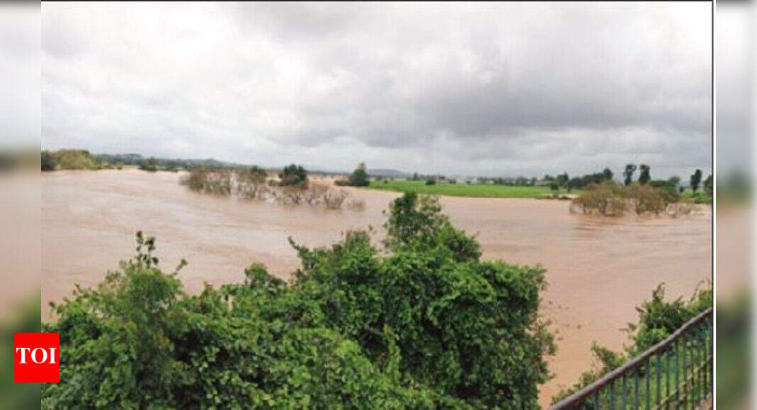 Kolhapur on flood alert, 1,300 shifted | Kolhapur News - Times of India