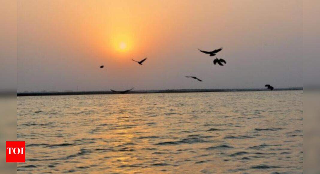 Ganga high, flood threat looms over low-lying areas | Varanasi News ...
