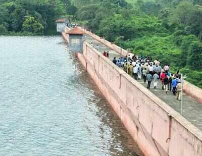 Ukai dam may touch 335 ft | Surat News - Times of India