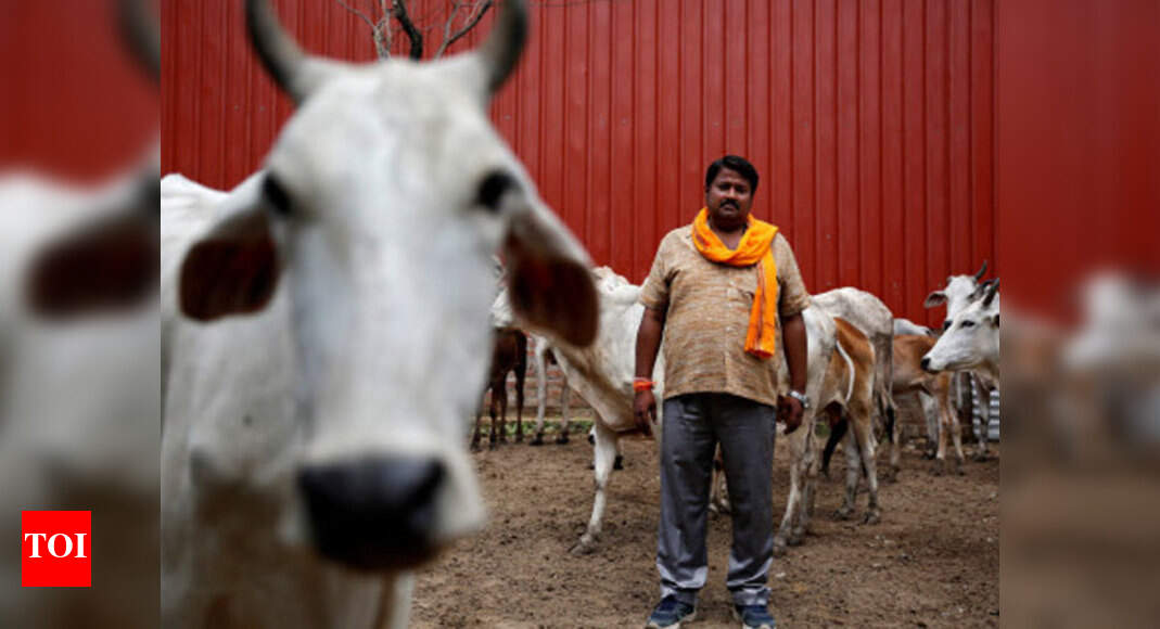 VHP refuses to be cowed down, plans rally on November 7 | India News ...