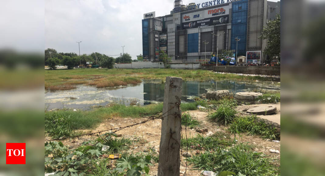 Sewage overflow next to Rohini mall - Times of India