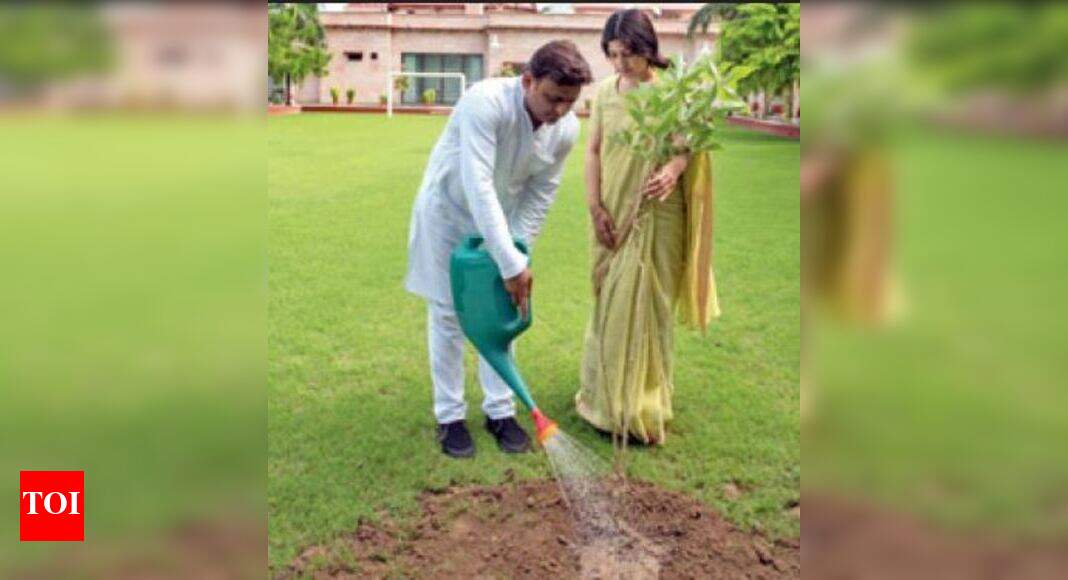 It's official: UP plantation drive in Guinness book | Lucknow News ...