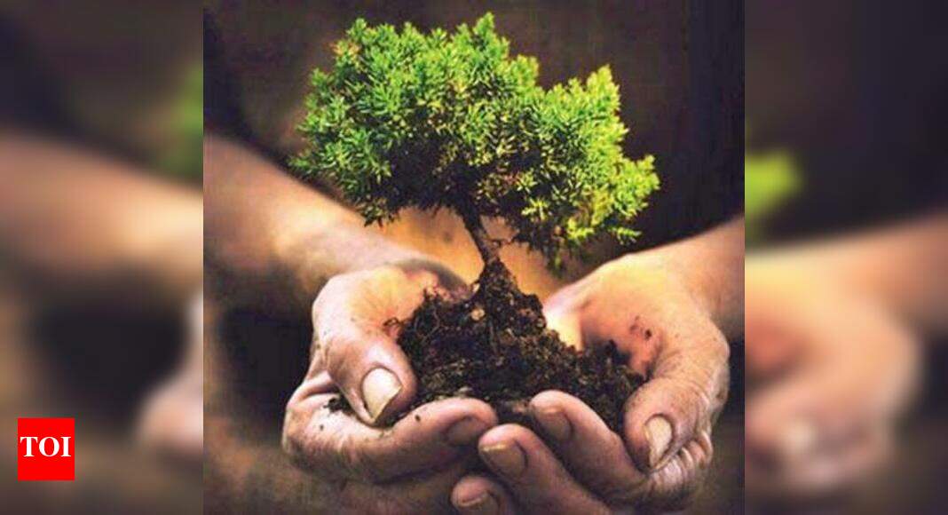 NWKRTC rolls out tree-planting drive | Hubballi News - Times of India