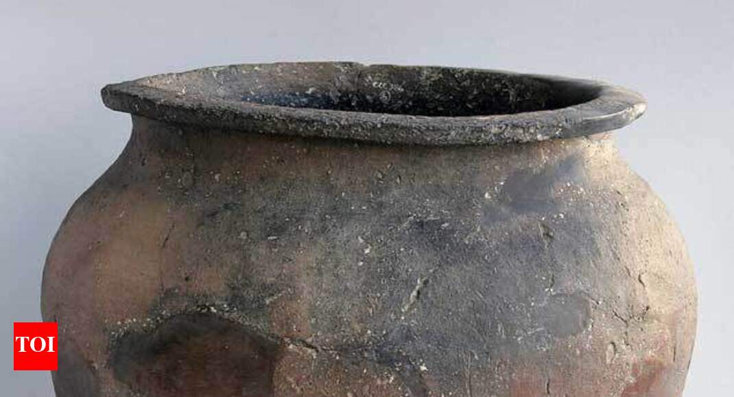 Harappan-era utensils found in Bijnor | Agra News - Times of India