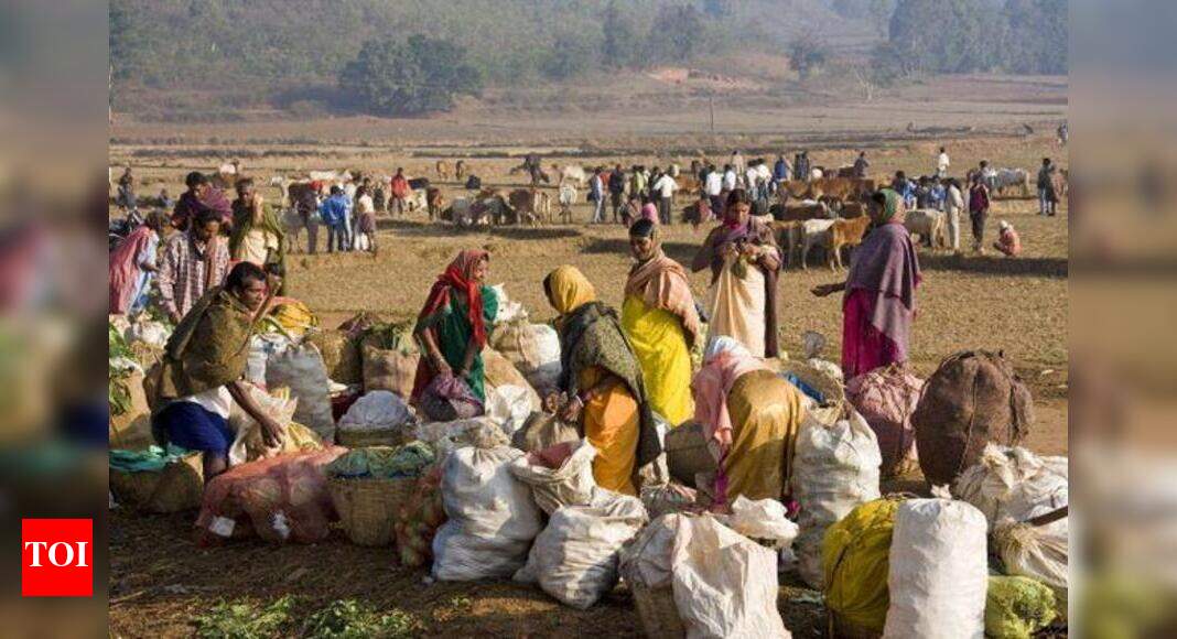 Louis Marandi releases funds for tribals | Ranchi News - Times of India