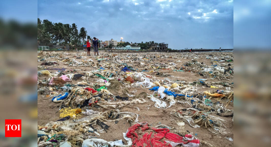 ...AND THE BEACHES ARE AS FILTHY AS EVER - Times of India