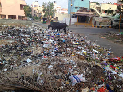 Empty plot, full of garbage - Times of India