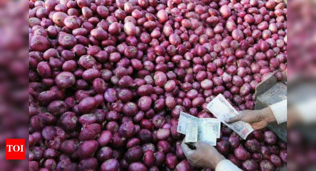 Onion plantation on at snail's pace | Nashik News - Times of India