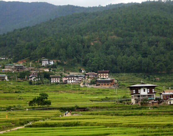 Punakha: Get the Detail of Punakha on TimesTravel