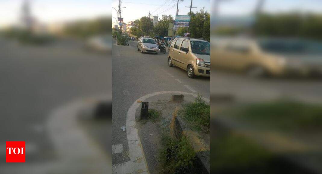 Human life or central verge - Times of India