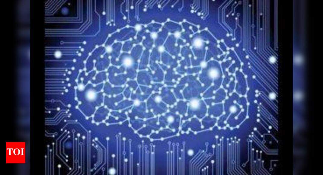 AI startup Staqu partners with IIIT to further research - Times of India