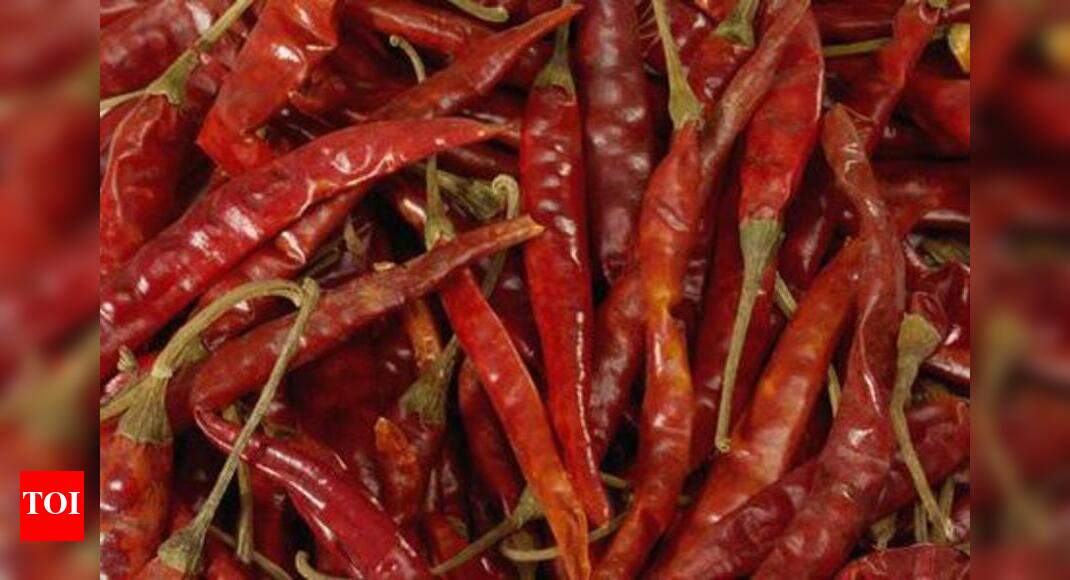 Chilli bombs that scared Assam jumbos for J&K rioters | Srinagar News ...