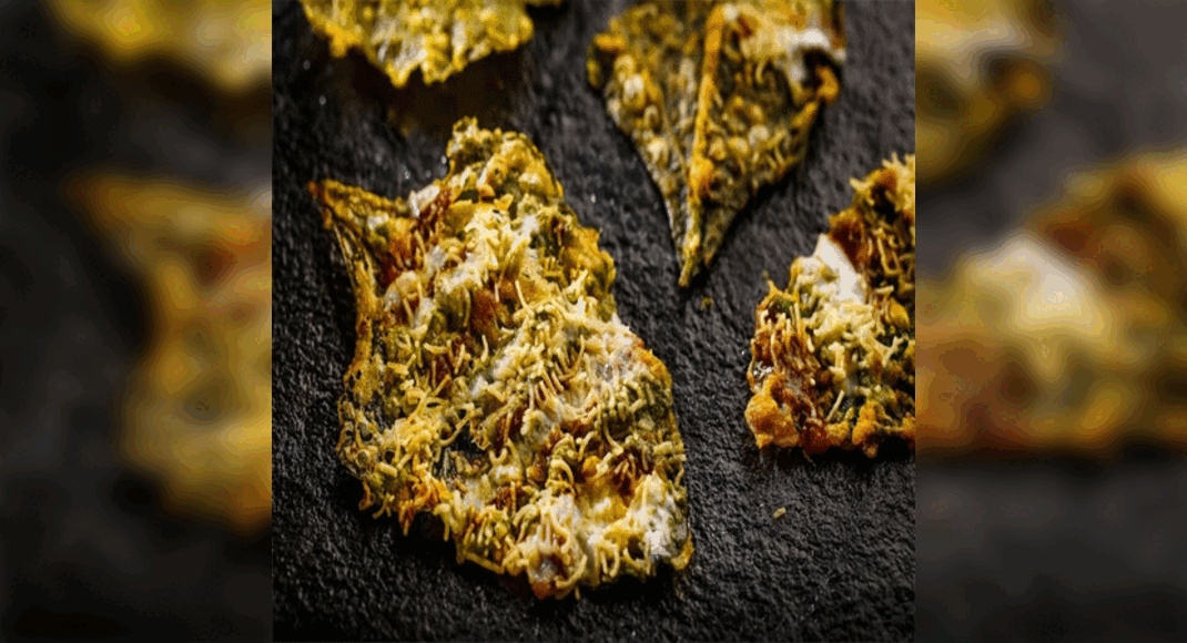 Palak Patta Chaat Recipe: How to Make Palak Patta Chaat Recipe ...