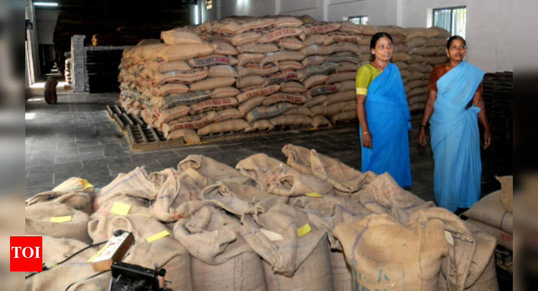 Chennai godowns overrun with rats, pests: CAG | Chennai News - Times of ...