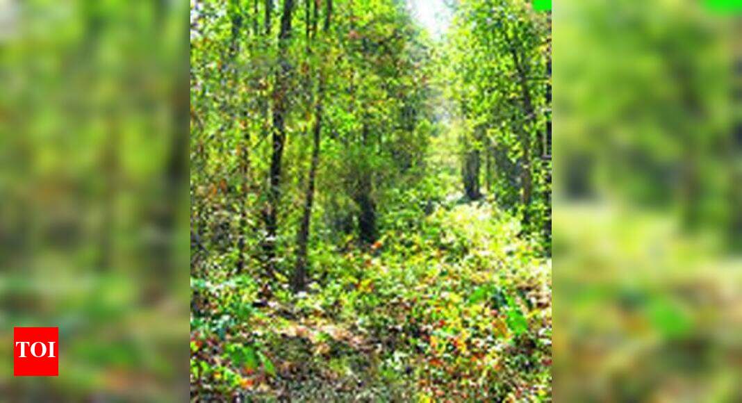 Kappatagudda forest loses conservation reserve tag | Hubballi News ...