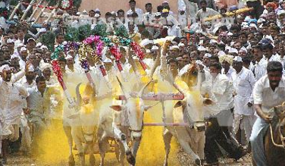 Bhosari fest to start tomorrow | Pune News - Times of India