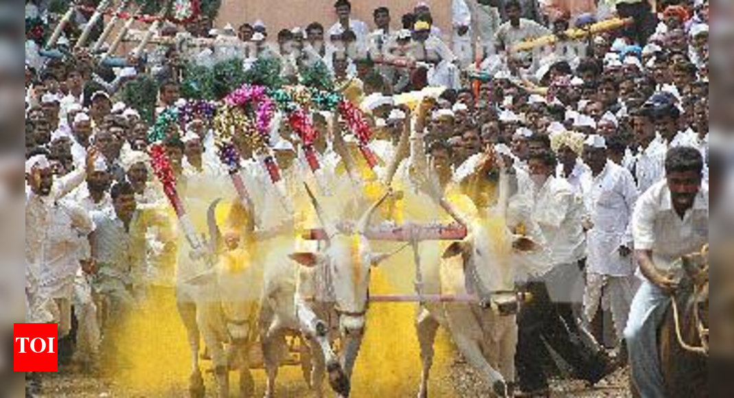 Bhosari fest to start tomorrow | Pune News - Times of India