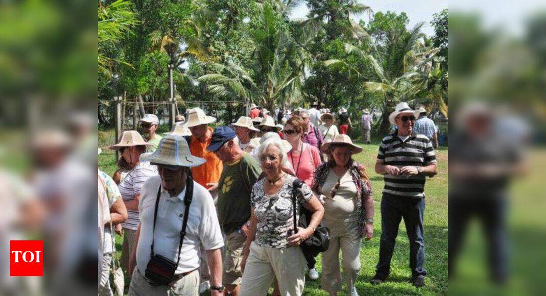 Songadh Fort to become a tourist destination | Surat News - Times of India