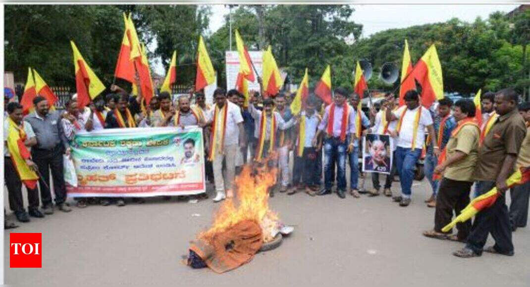 Cauvery protest: Nil response to bandh in Dakshina Kannada | Mangaluru ...