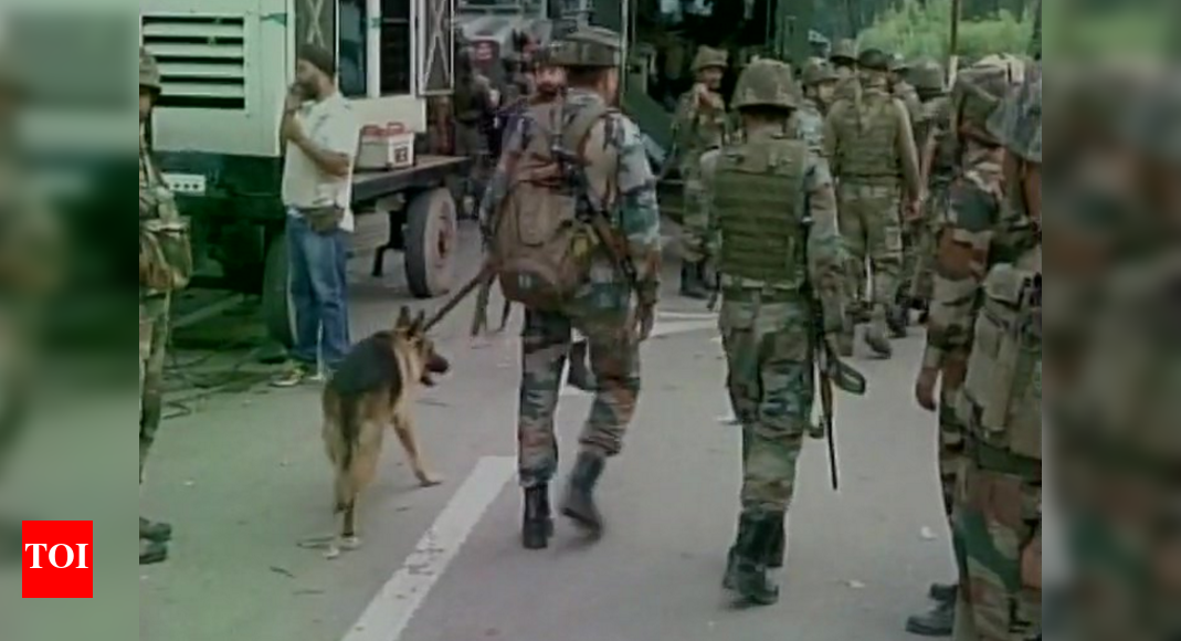 Poonch encounter: One more terrorist killed in operations | India News - The Times of India