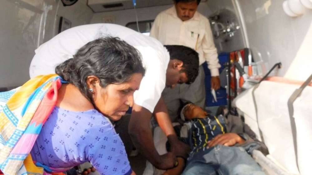 In pics: All you need to know about Dengue and Chikungunya | The Times ...