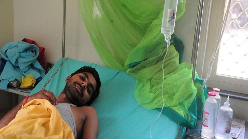 In pics: All you need to know about Dengue and Chikungunya | The Times ...