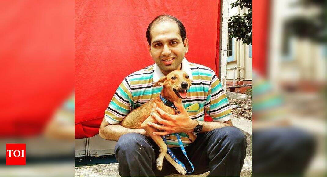 Dog flung off Chennai building by medicos gets a permanent home ...