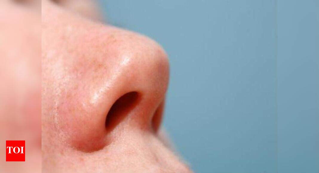 Man bites off wife's nose for 'infidelity' | Lucknow News - Times of India