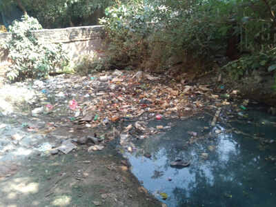 Inderpuri faces disease threat - Times of India