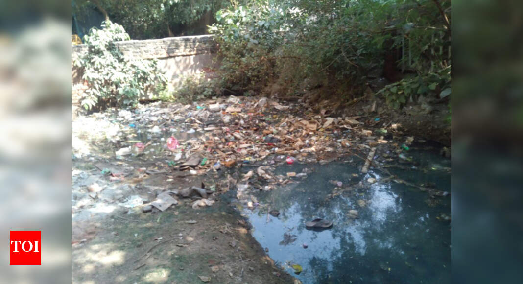 Inderpuri faces disease threat - Times of India