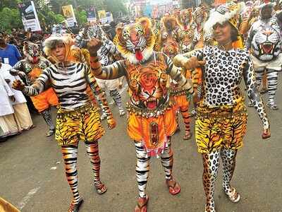 Penn pulis trounce 200-year-old Pulikali tradition | Kochi News - Times ...