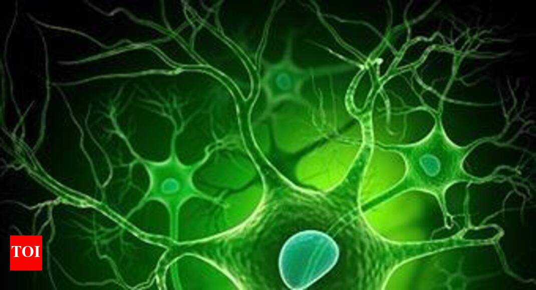 Tissue harvesting for reconstruction of maxillofacial defects: Experts ...