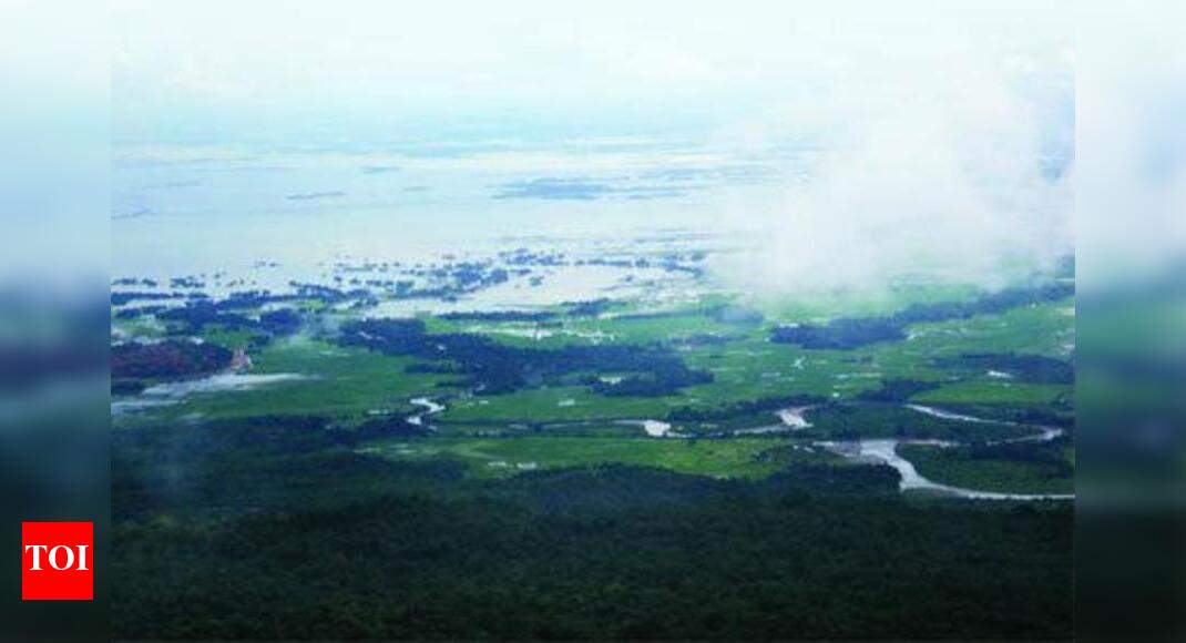 Gujarat: South Gujarat reels under wet weather | Surat News - Times of ...