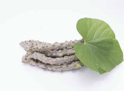 5 Incredible Health Benefits of Giloy | - Times of India
