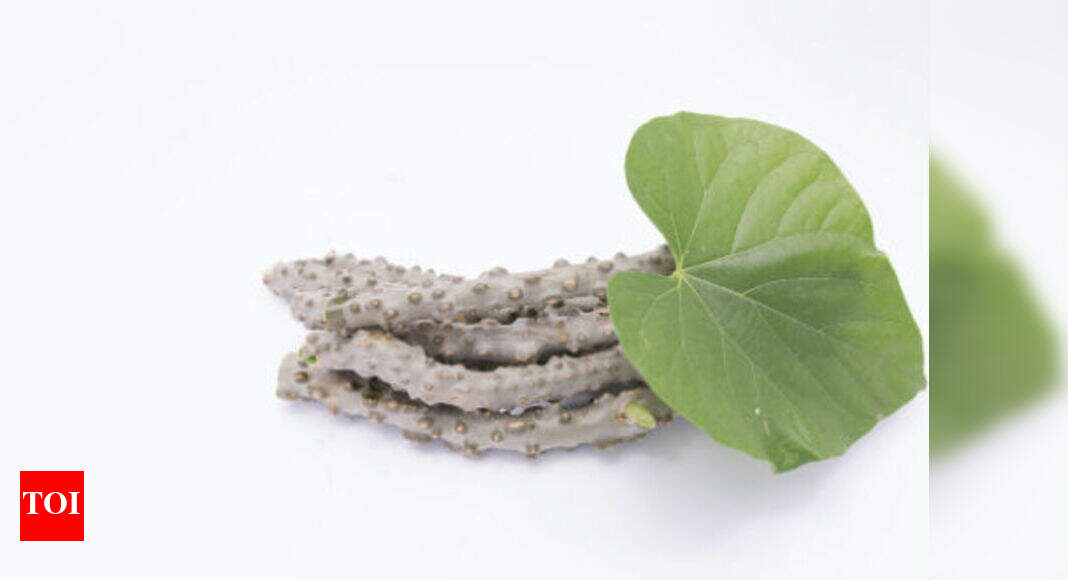 5 Incredible Health Benefits of Giloy | - Times of India