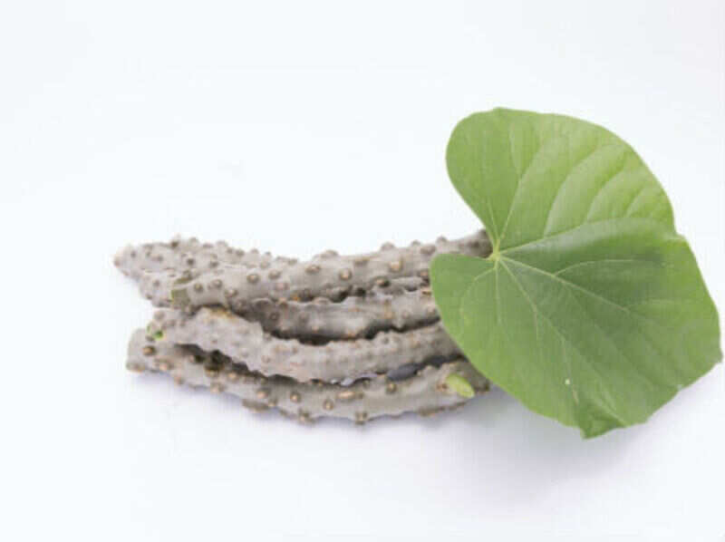 5 Incredible Health Benefits of Giloy