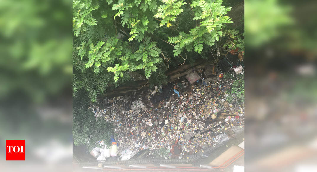 Behala Garbage - Times of India