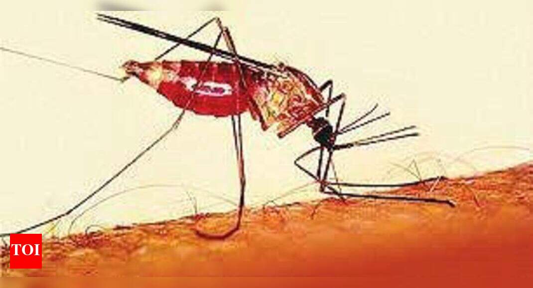 Malaria: Malaria control: Blood slide test made compulsory in state ...