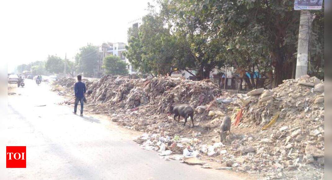 Garbage rotting on road for a month - Times of India