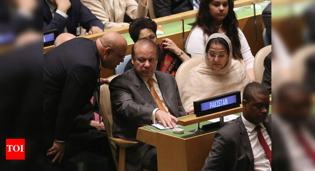 Defiant Pakistan says it will go ahead with Saarc summit despite ...