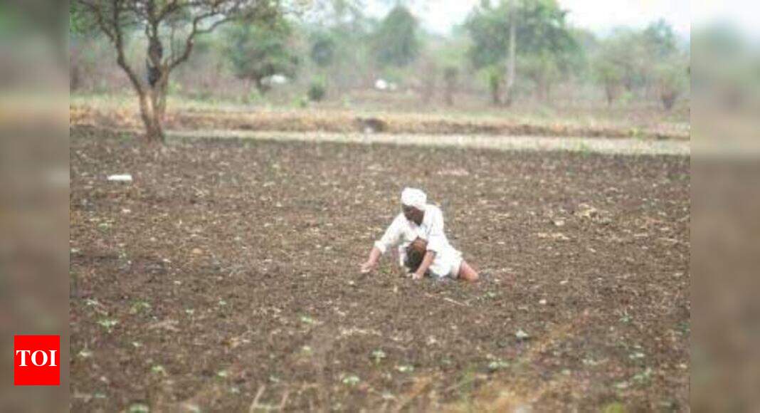 Vidarbha 8% surplus in rain, city has 15% deficit | Nagpur News - Times of India