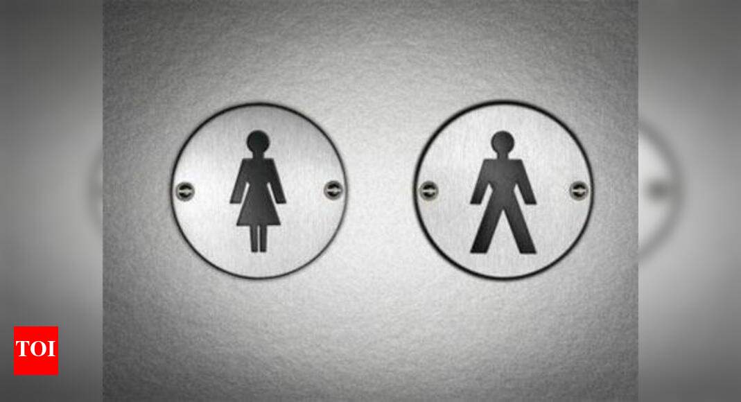 Dry Latrines: ‘Gujarat has 34000 dry latrines’ | Ahmedabad News - Times ...