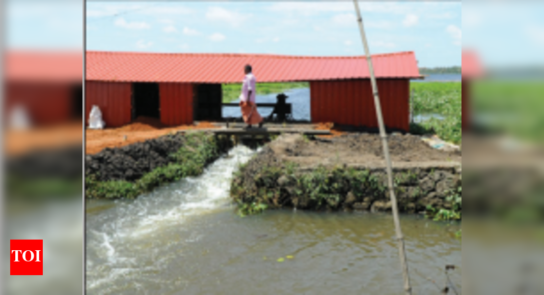 Methran Kayal: Methran Kayal to see green shoots, dewatering begins ...