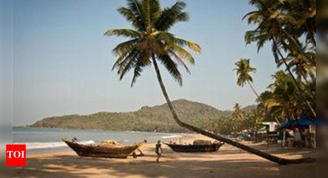 Goa Forward to announce six candidates soon | Goa News - Times of India