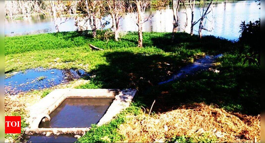 Kaikondrahalli Lake turns into cesspool - Times of India