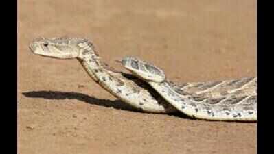 Students' day out with snakes at Thrissur zoo | Kochi News - Times of India