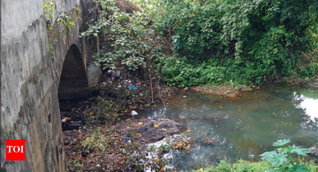 Cauvery: Where the Cauvery begins, feeder streams running dry ...
